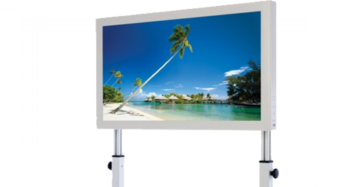 Visual Stimulation | The Alfredo Federico Strauss Center for ...